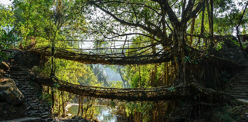 9 Nights 10 Days Tour Shillong - Cherrapunji - Double Decker Living ...